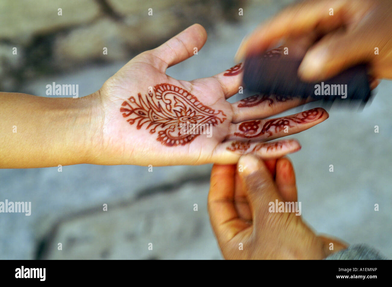 Henna painting on palm made by rubber stamp impression, Vashist, India ...