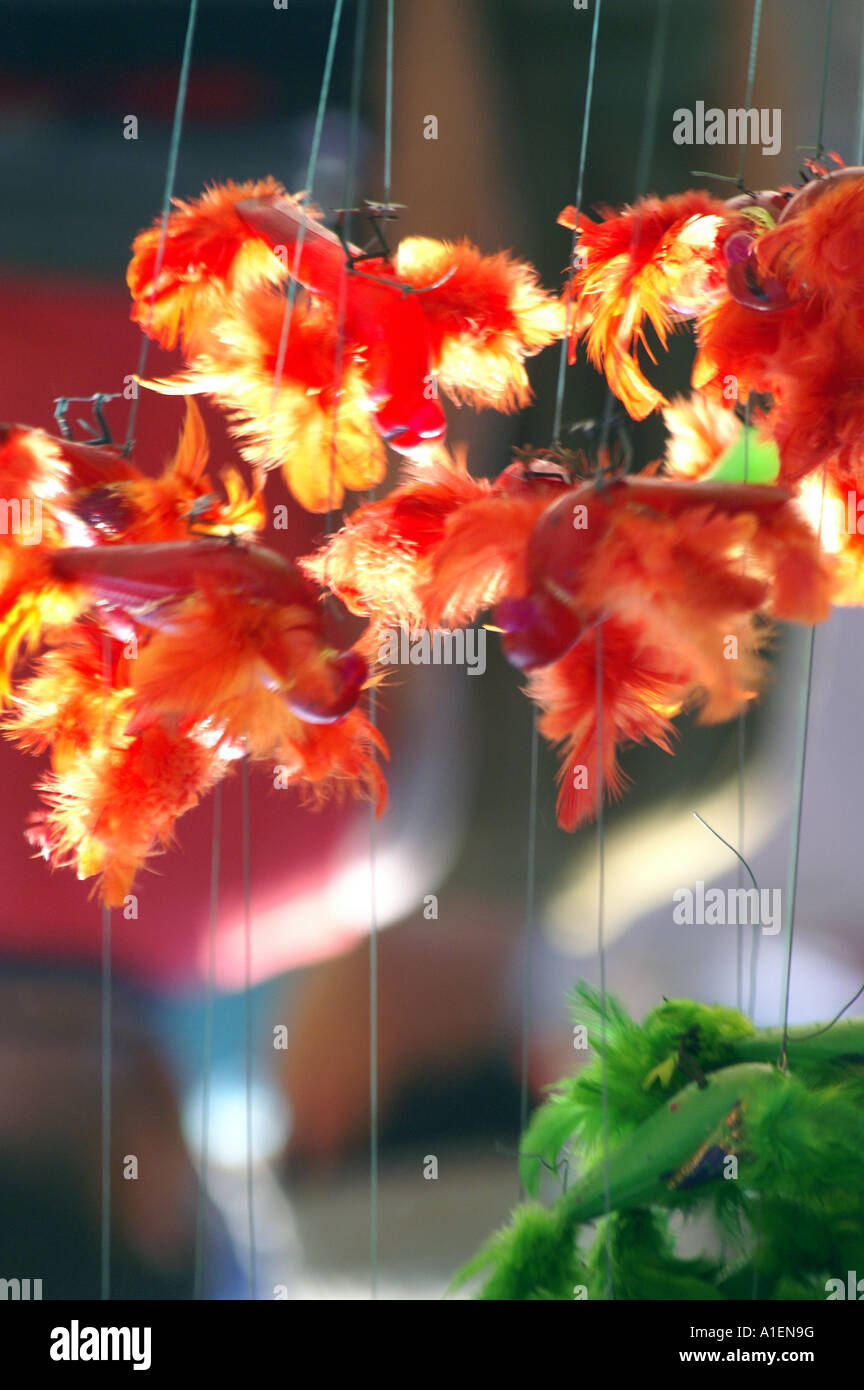 Orange feathers hanging on strings Stock Photo - Alamy