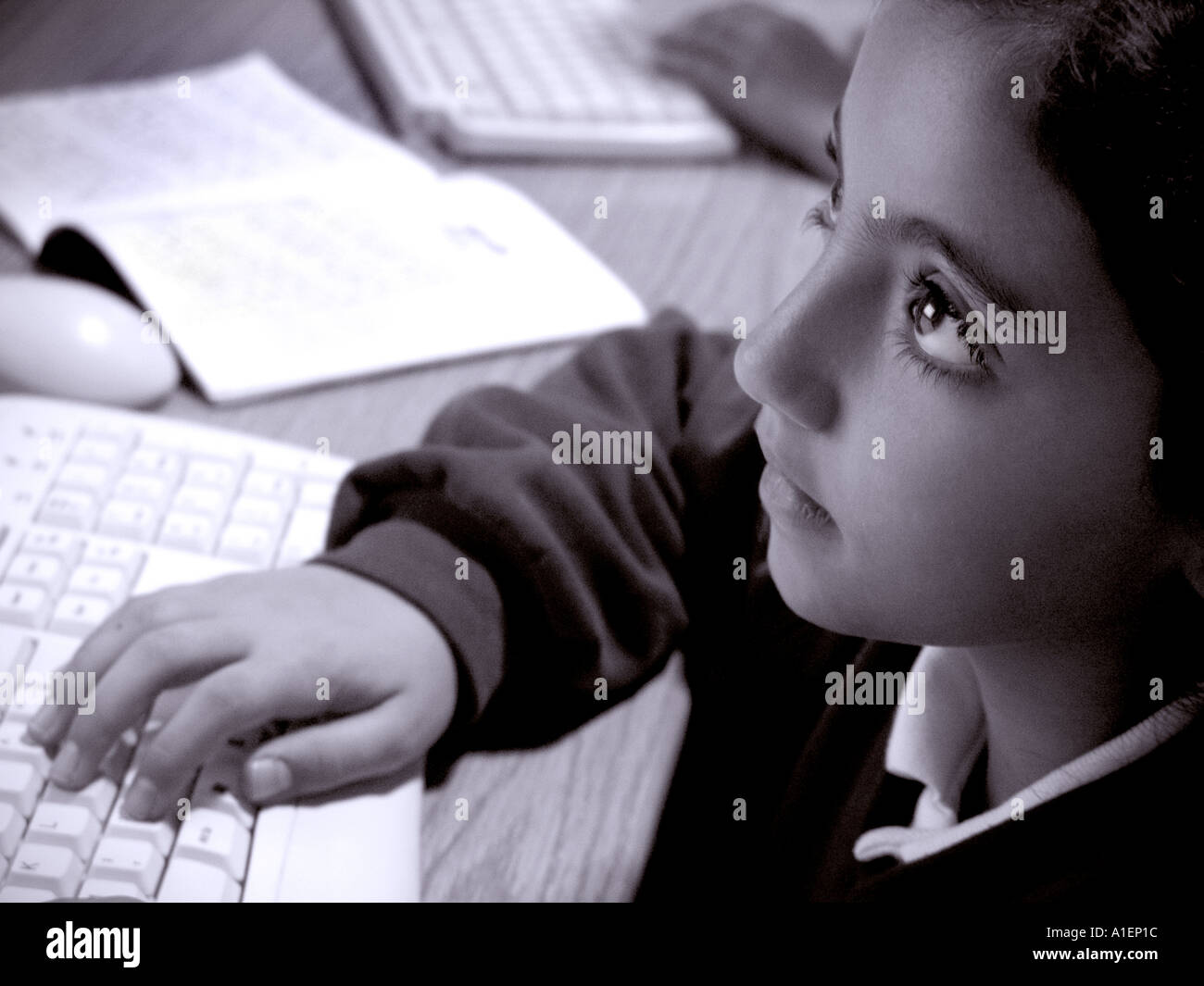 Looking Intently At The Screen High Resolution Stock Photography and ...