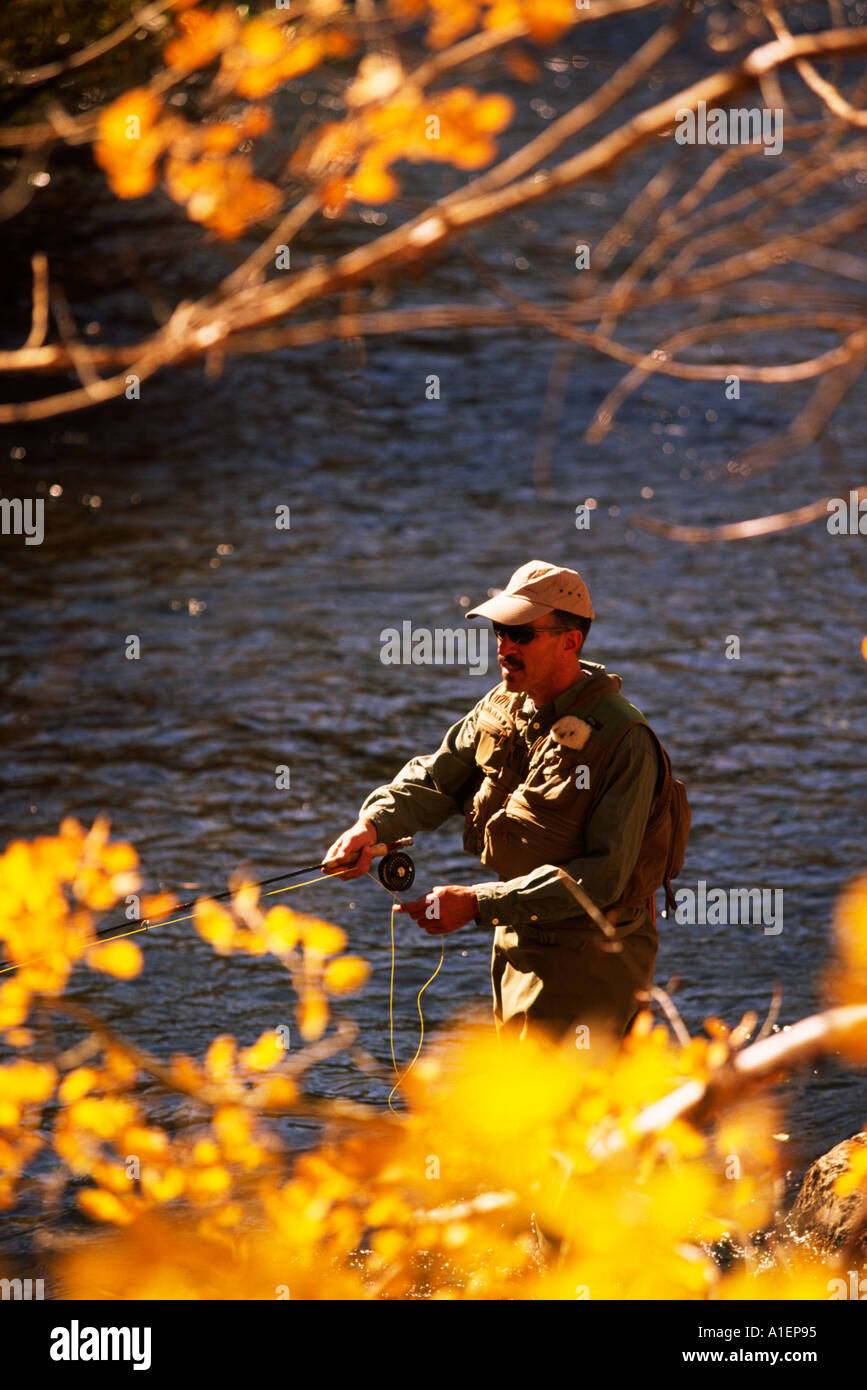 Nymphing fly hi-res stock photography and images - Alamy