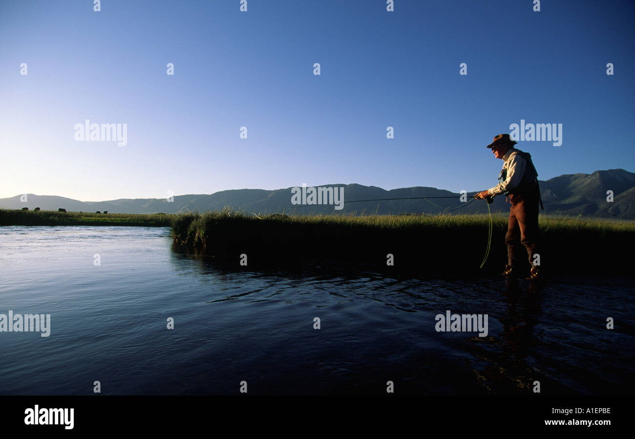 Owens released hi-res stock photography and images - Alamy