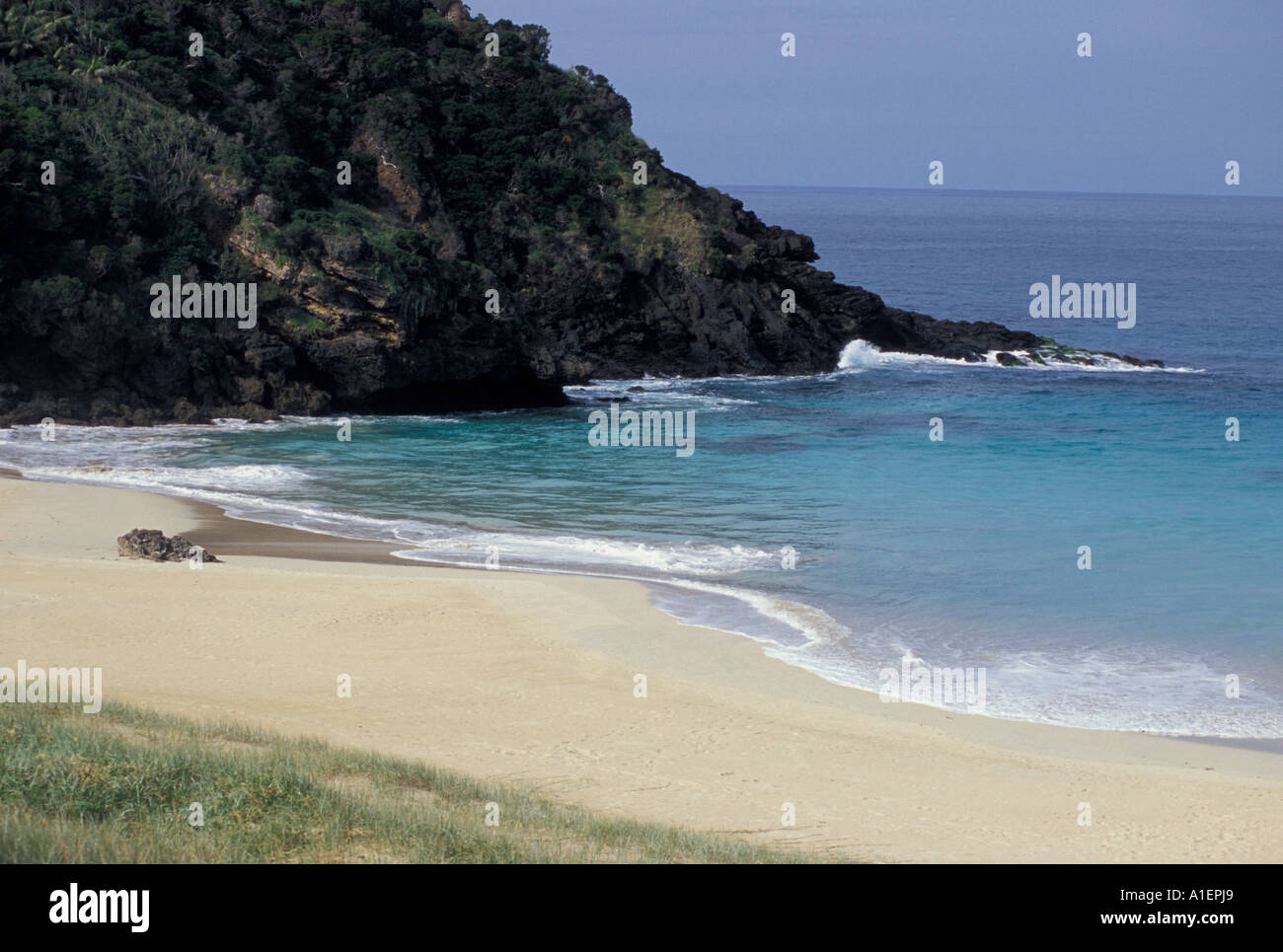 Blinky s Beach Lord Howe Island NSW Australia Stock Photo - Alamy