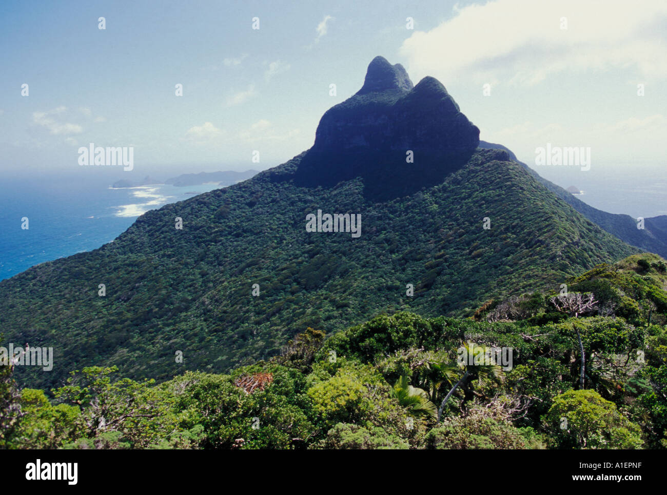 Mount Gower guided hike view from Mt Gower of Mt Lidgbird and Lord Howe ...