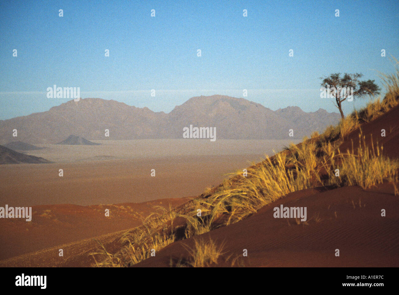 Namibian Desert Namibia, Africa Stock Photo - Alamy