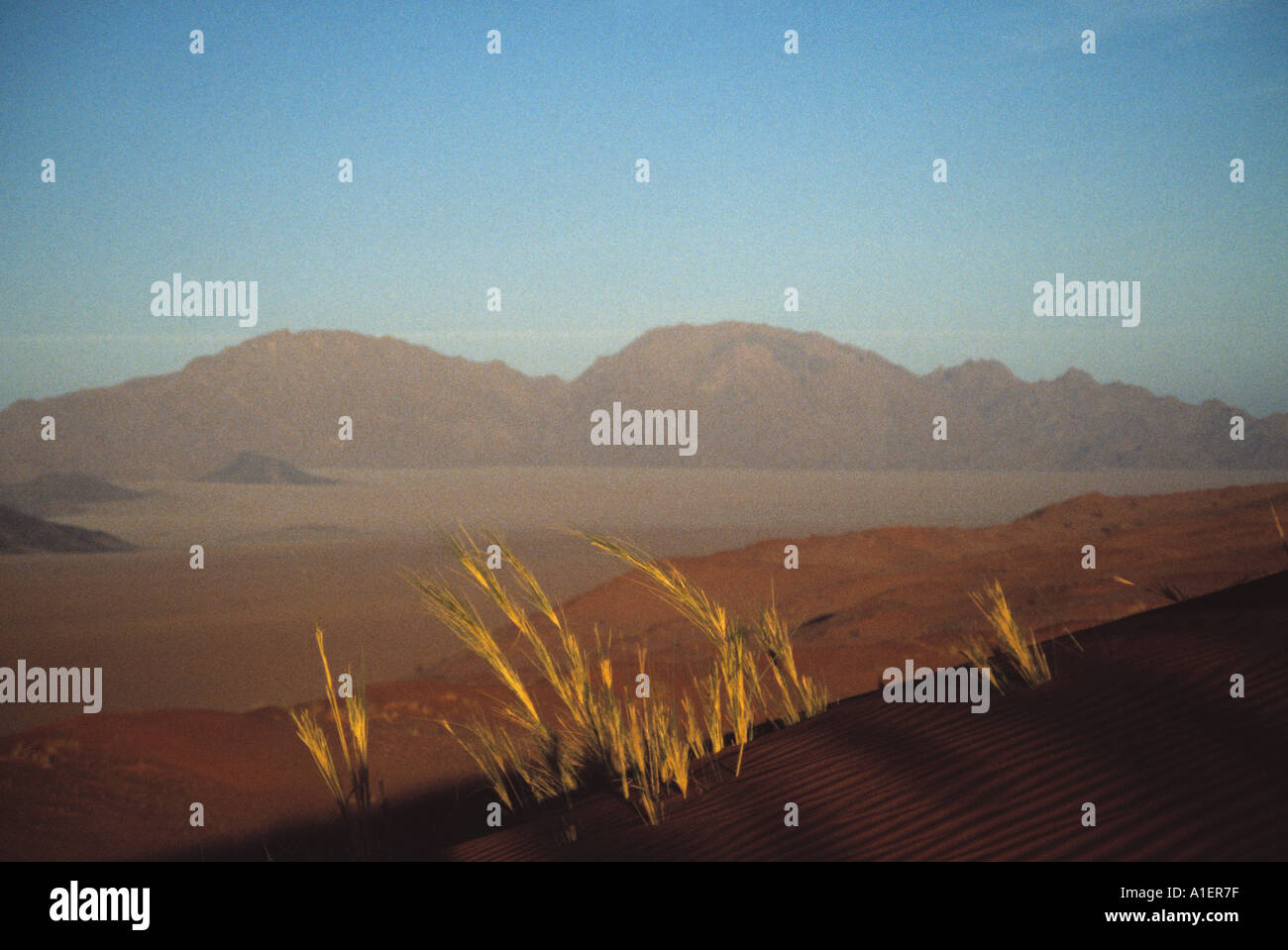 Namibian Desert Namibia, Africa Stock Photo - Alamy