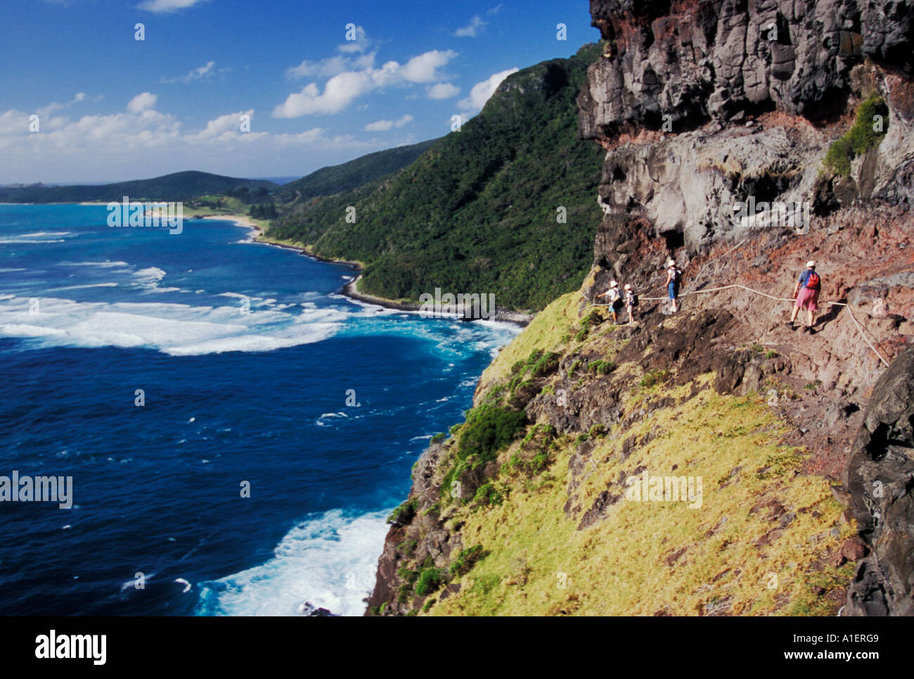 Mount Gower guided hike: tourists hiking along vertical cliffs of Mt ...