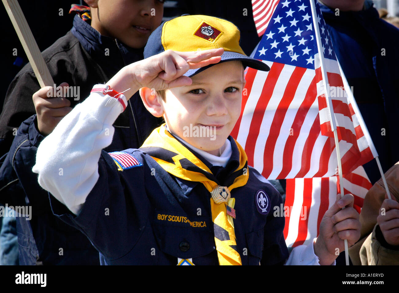 Boy and Cub Scouts participate in Activities at a Memorial Day festival ...
