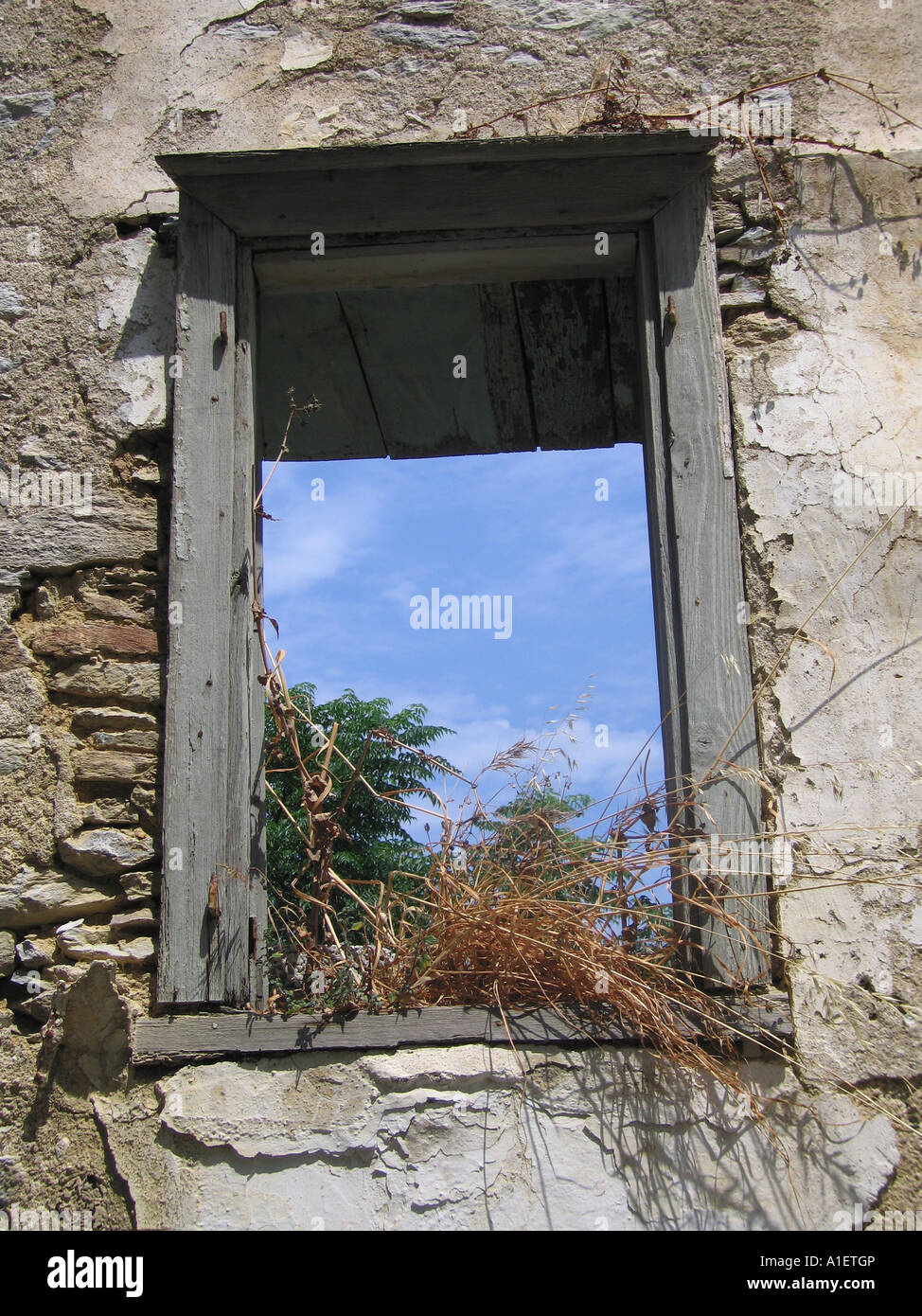 Growing from scratch hi-res stock photography and images - Alamy