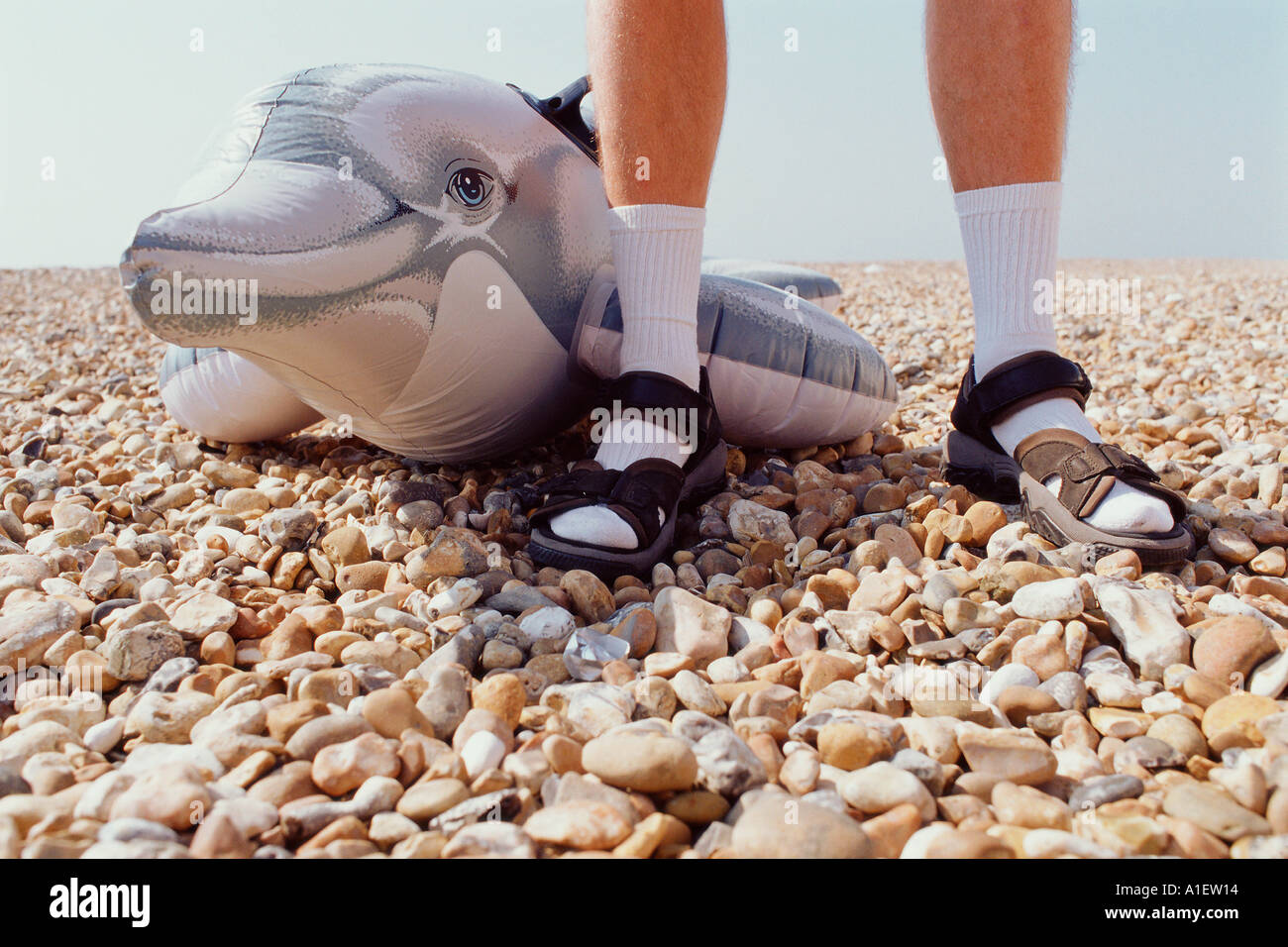 Inflatable dolphin on pebble beach Stock Photo - Alamy