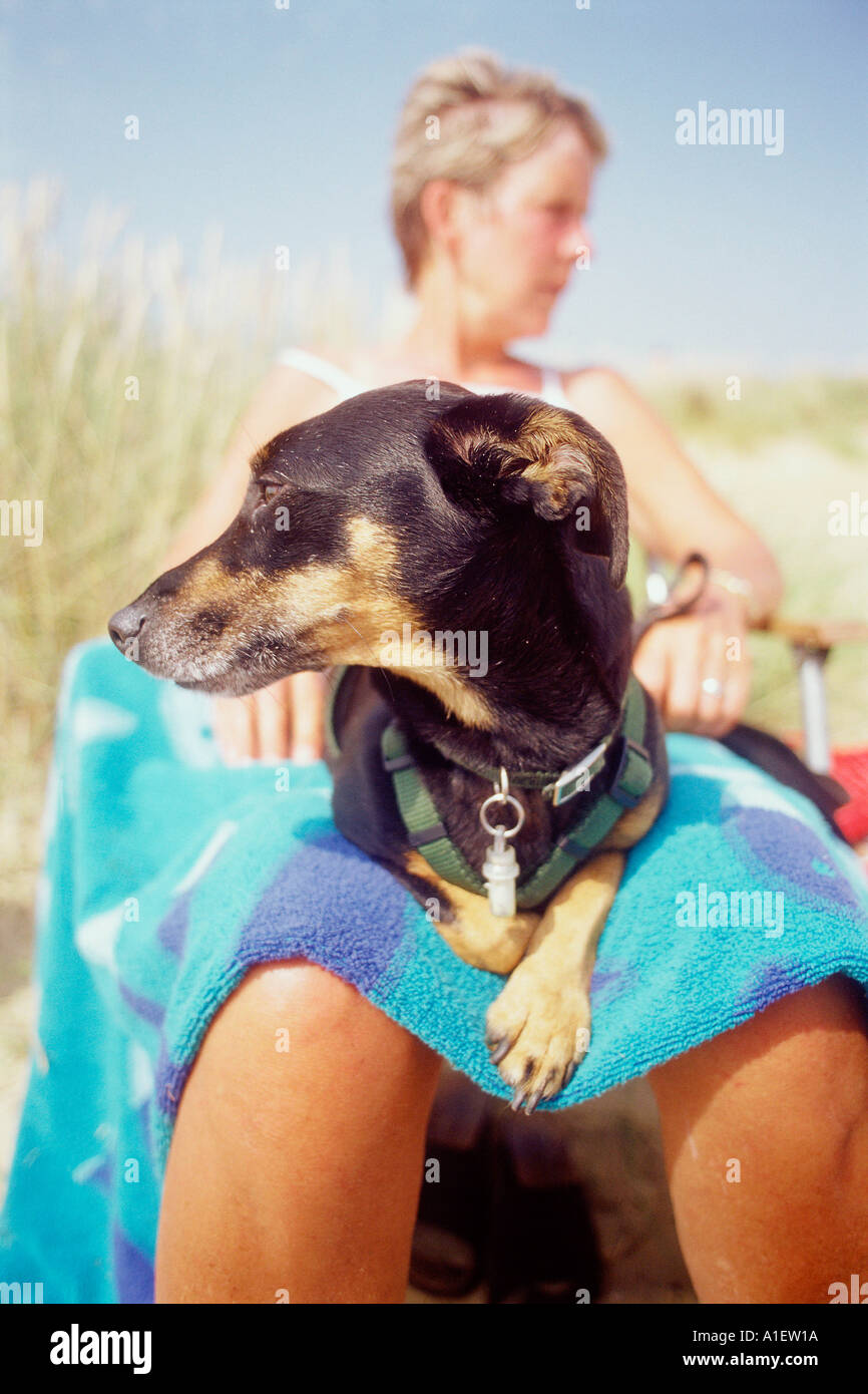 Female sunbathing with dog hi-res stock photography and images - Alamy