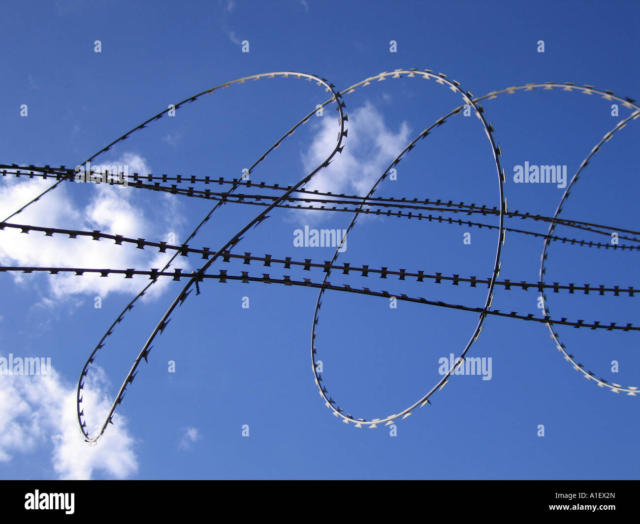 Barbed razor wire protecting building site from intruders Stock Photo ...