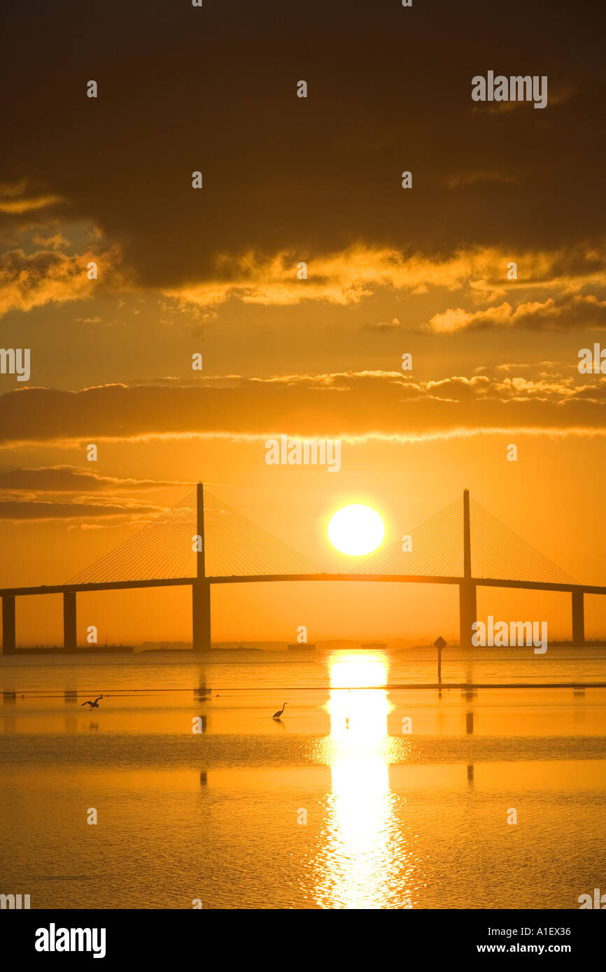 Sunshine skyway bridge silhouette hi-res stock photography and images ...