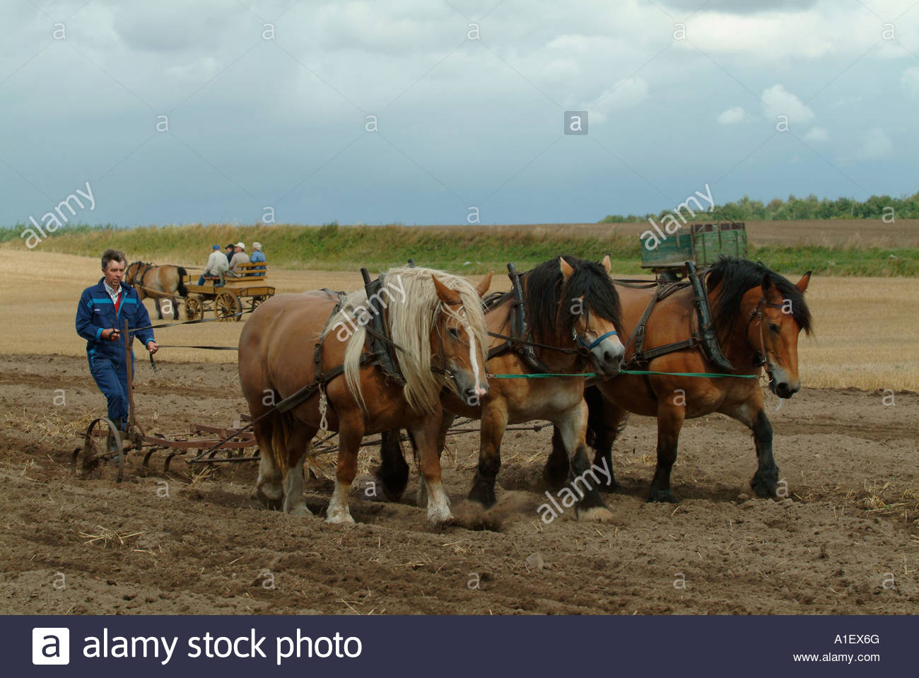 Man Ploughing With Horse High Resolution Stock Photography and Images ...