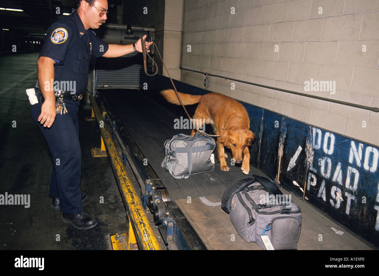 An officer using a police dog for customs inspection Stock Photo - Alamy
