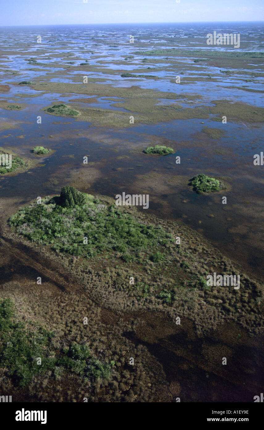 Aerial view of the Florida Everglades Stock Photo - Alamy