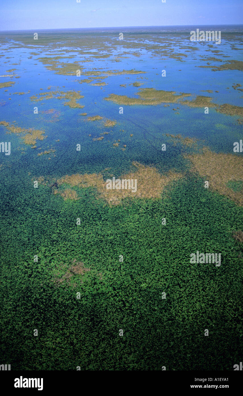 Aerial view of the Florida Everglades Stock Photo - Alamy
