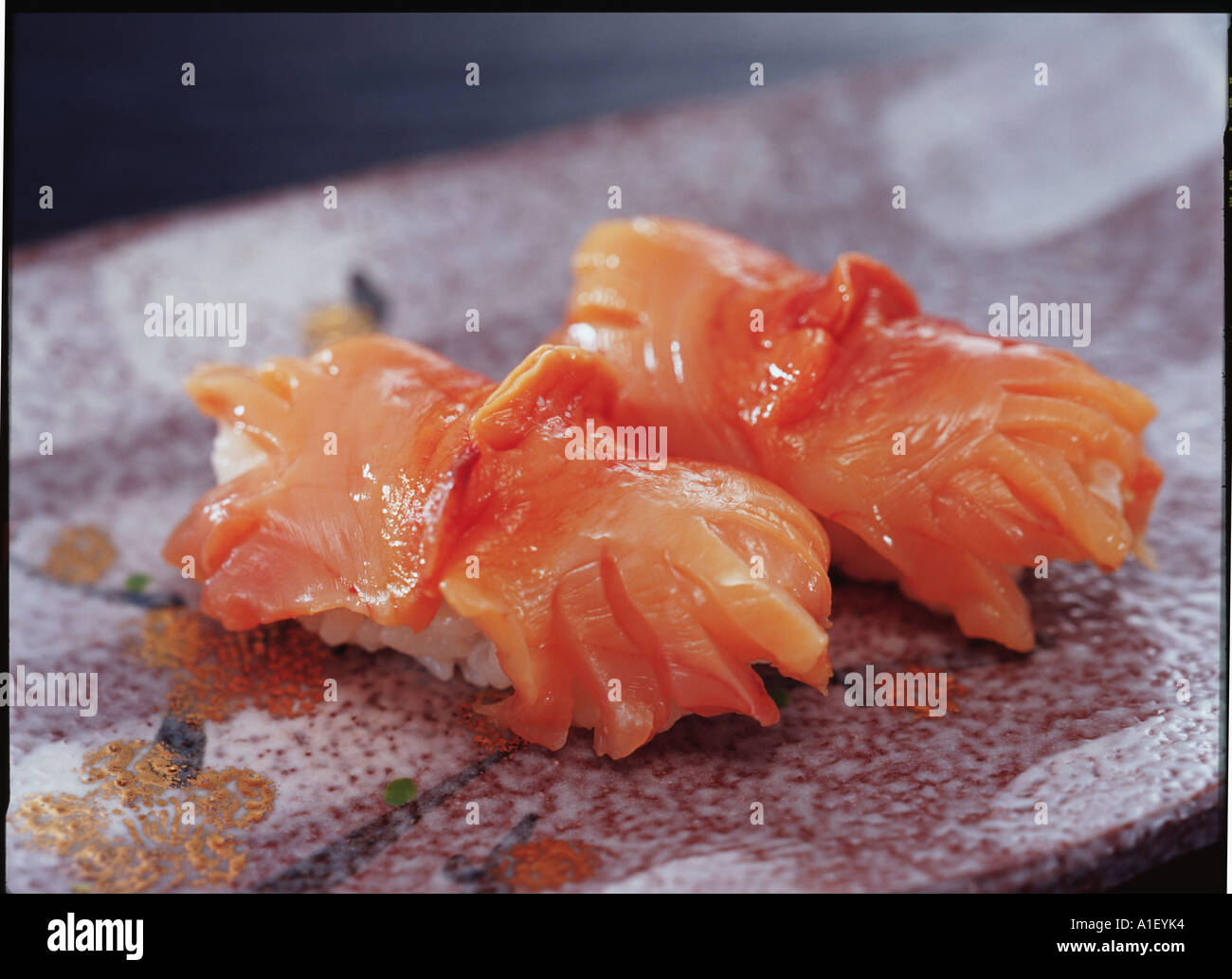 Sushi Arch Shell Stock Photo - Alamy