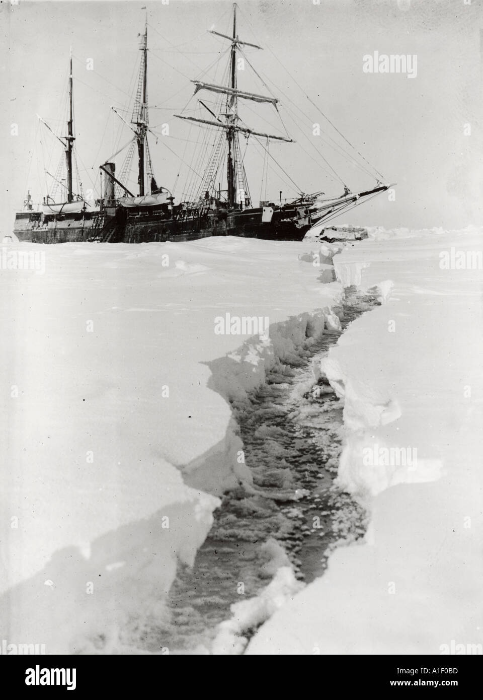 Imperial trans antarctic expedition hi-res stock photography and images ...
