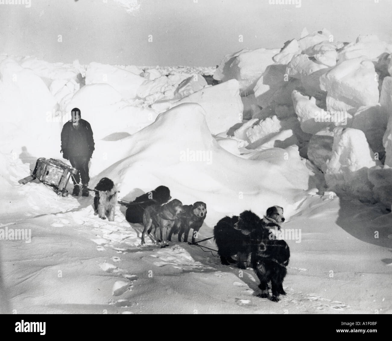 1914 1917 imperial trans antarctic expedition hi-res stock photography ...