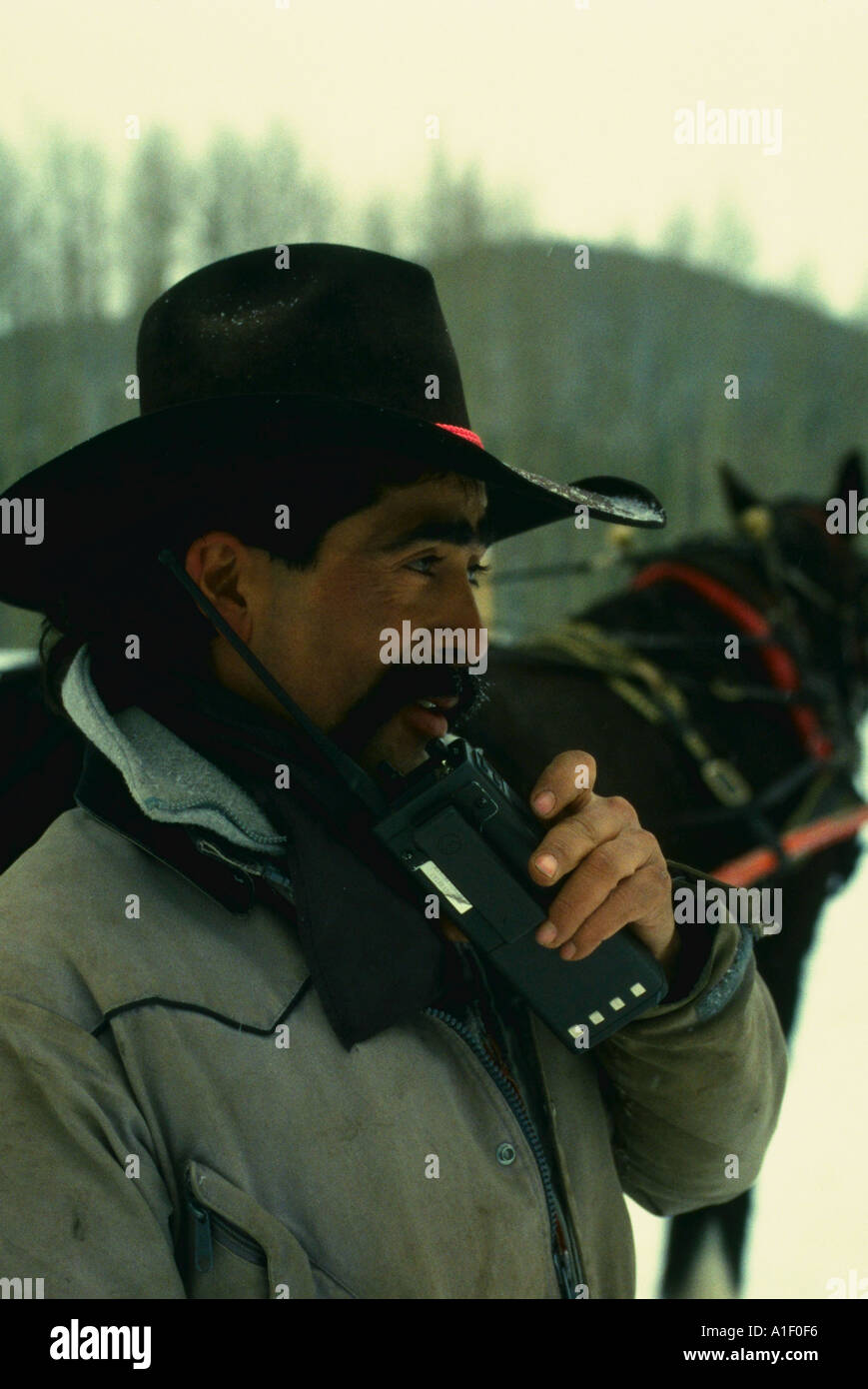 Cowboy communicating hi-res stock photography and images - Alamy