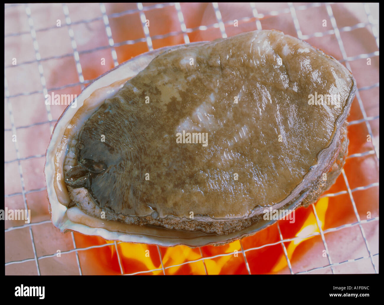 Grilled abalone hi-res stock photography and images - Alamy