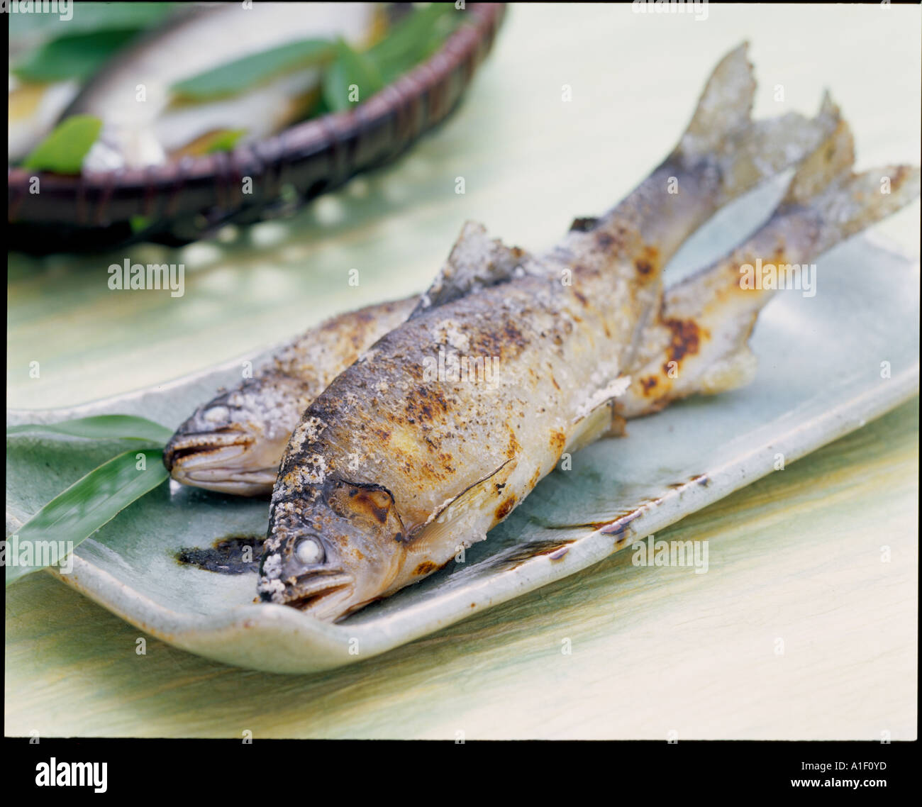 Sweetfish hi-res stock photography and images - Alamy