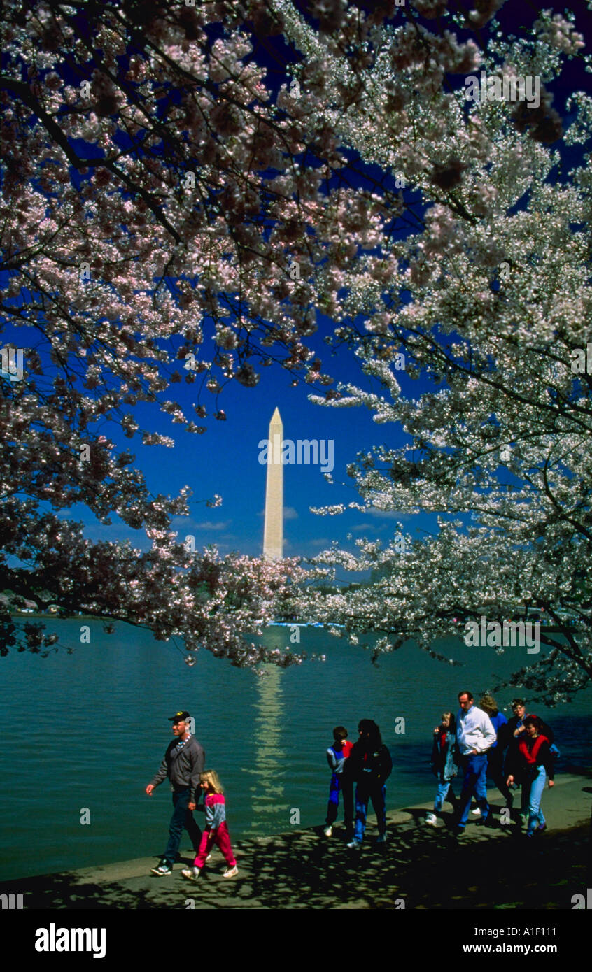Tidal basin icon hi-res stock photography and images - Alamy