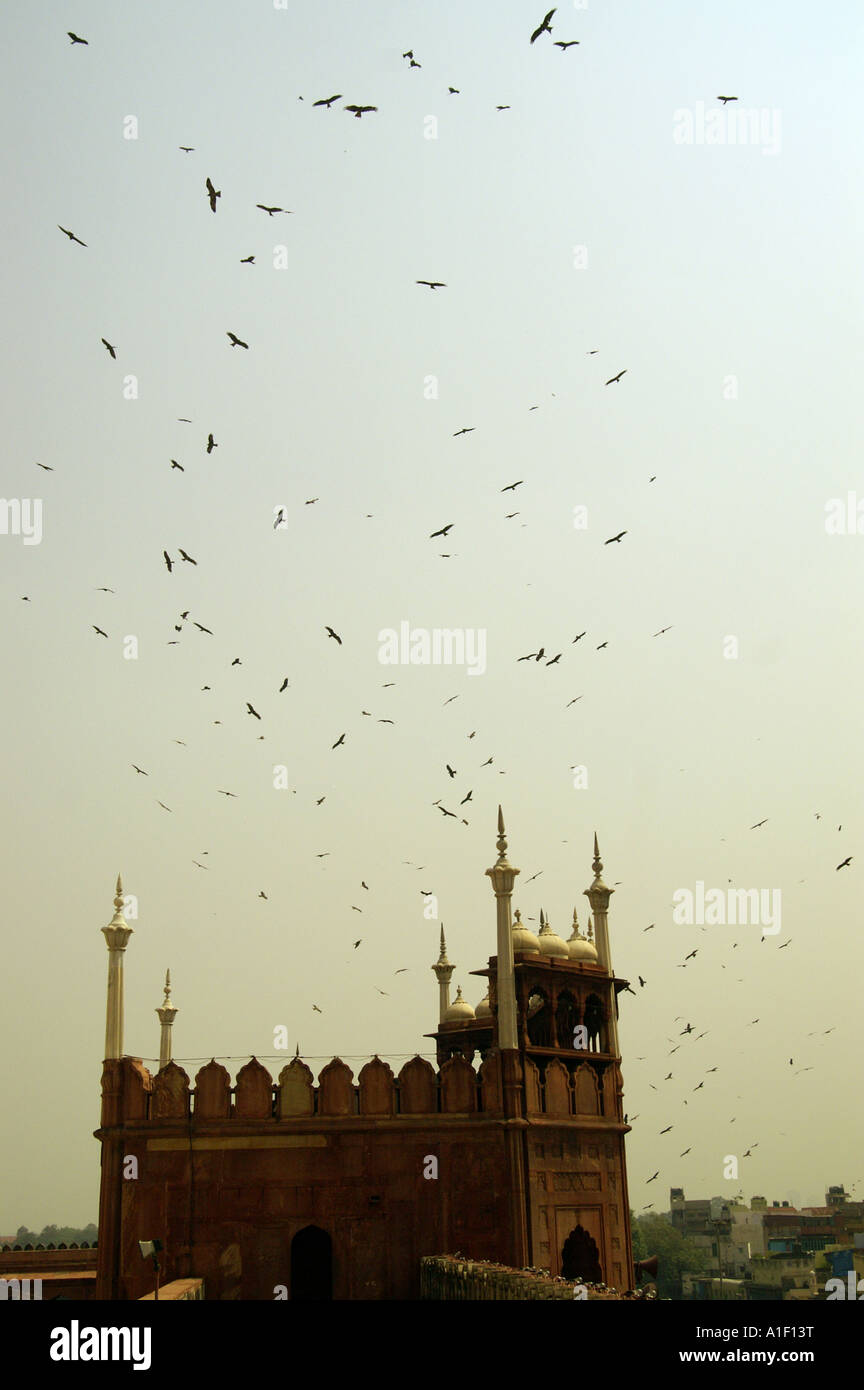 Birds flying over mosque hi-res stock photography and images - Alamy