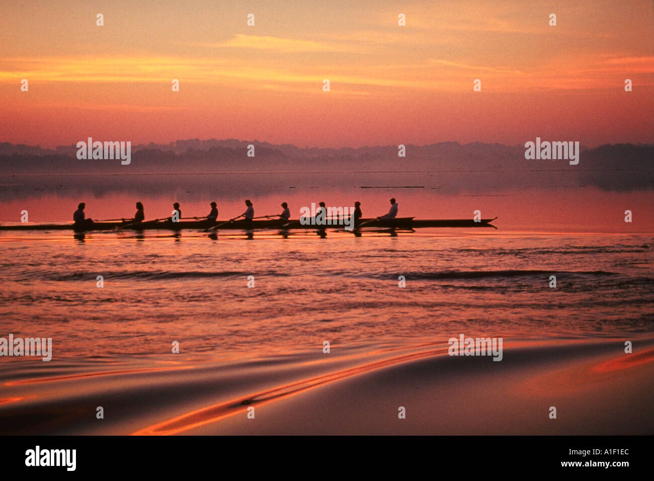 Cooperative crew hi-res stock photography and images - Alamy