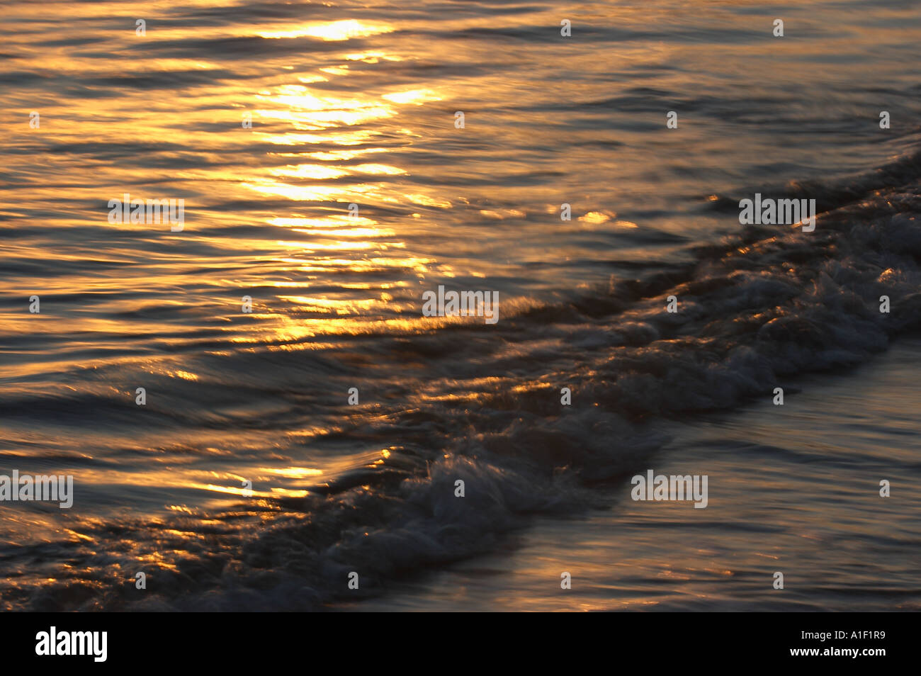 sunset beach water Stock Photo - Alamy