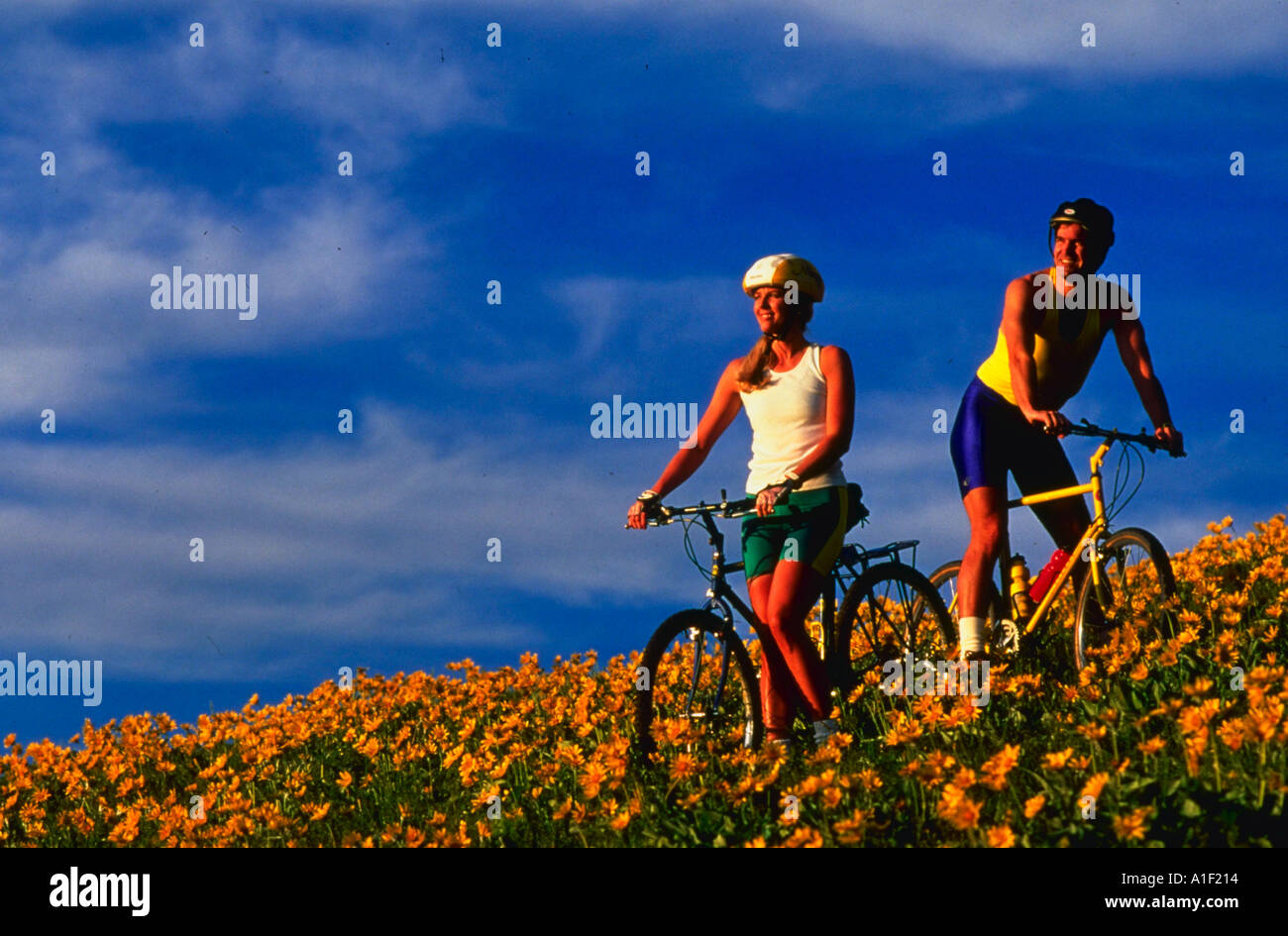 Mountain biking through spring wildflowers in the Wasatch Mountains of ...
