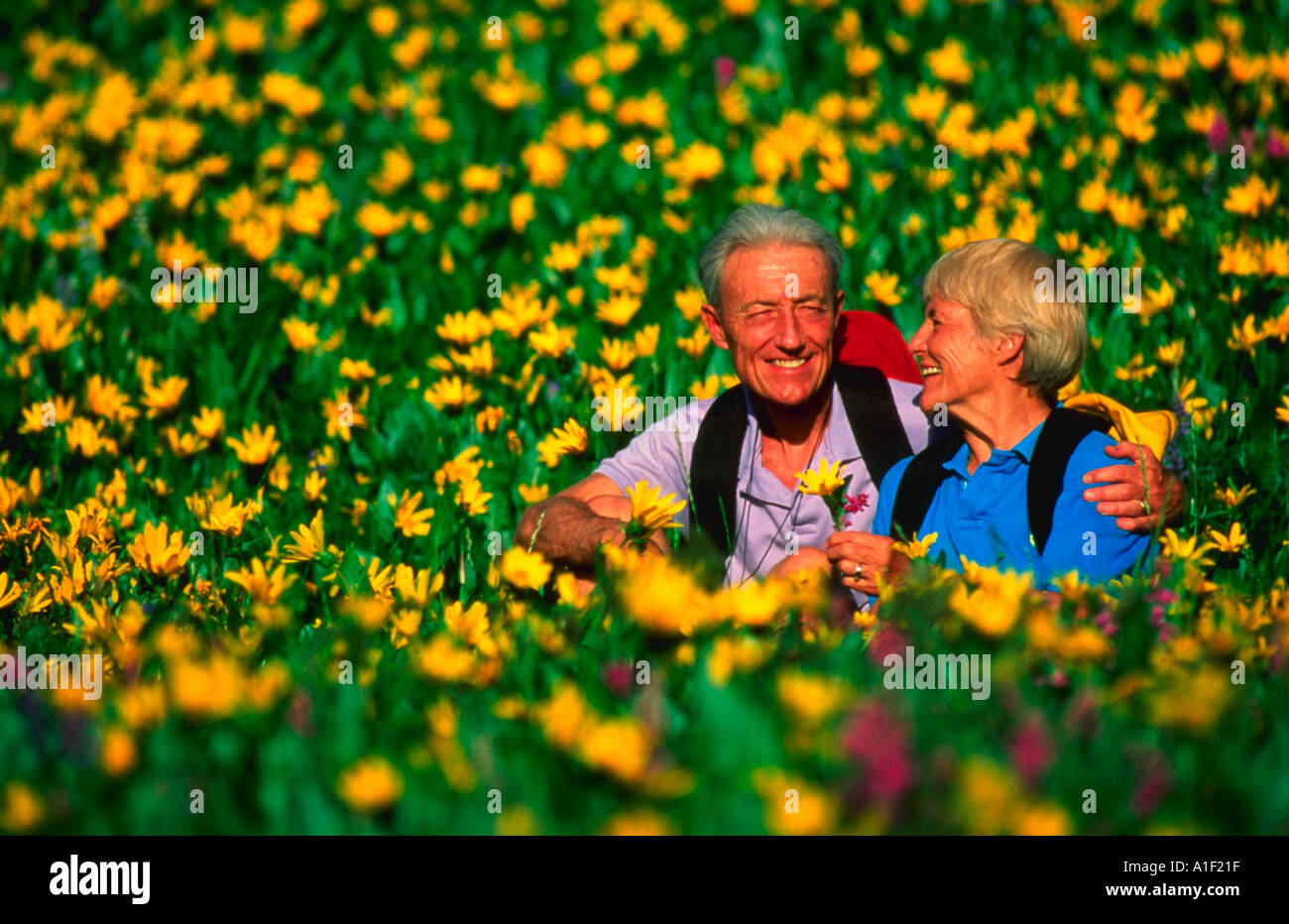 Elders elderly older enjoy hi-res stock photography and images - Alamy