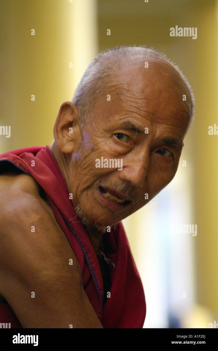 Old buddhist monk looking into camera, eye contact, portrait Stock ...
