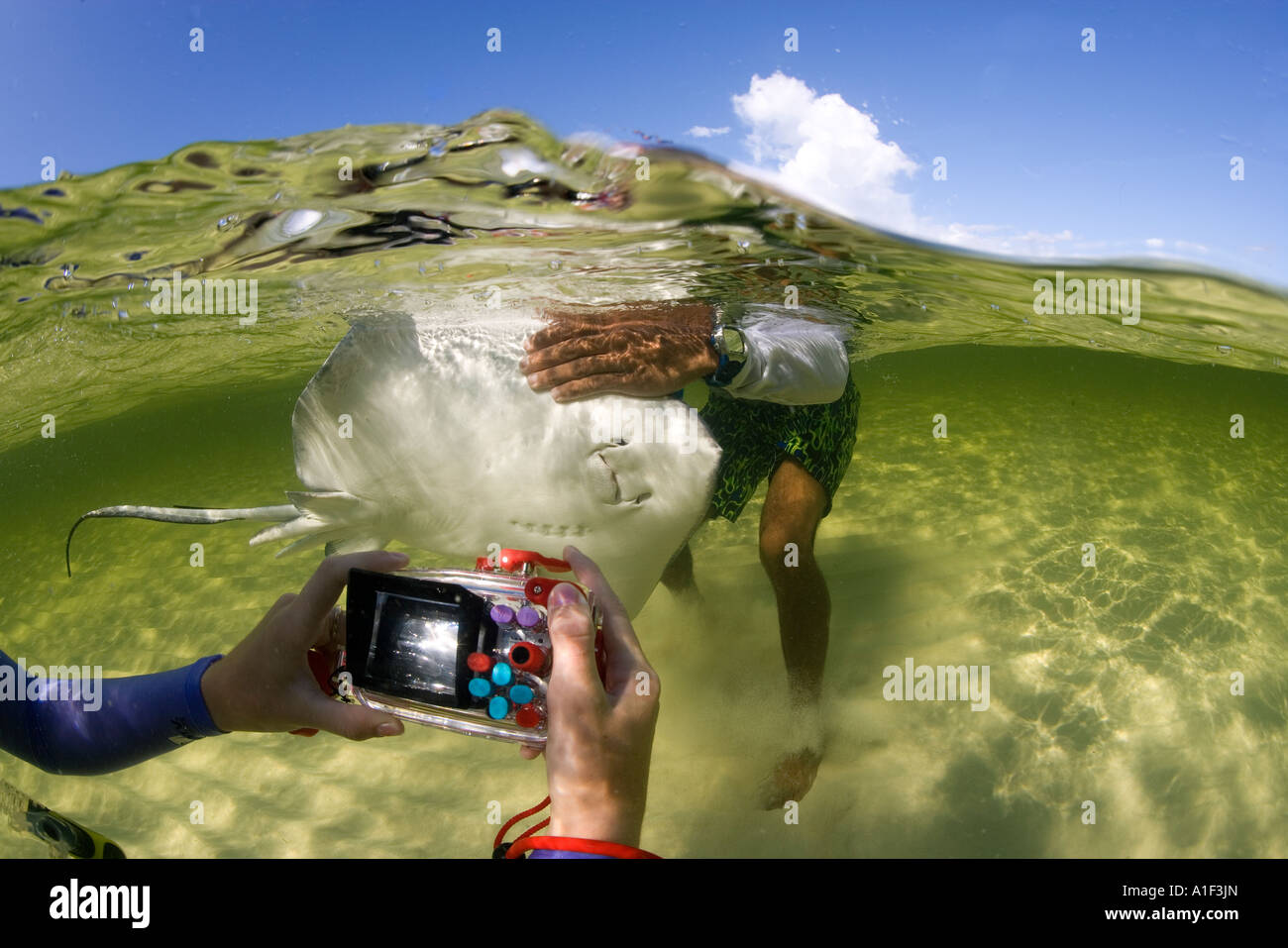 Maneuvered hi-res stock photography and images - Alamy