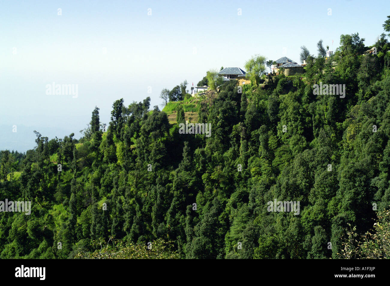 Slope edge with small village on its top surrounded by forest Stock ...