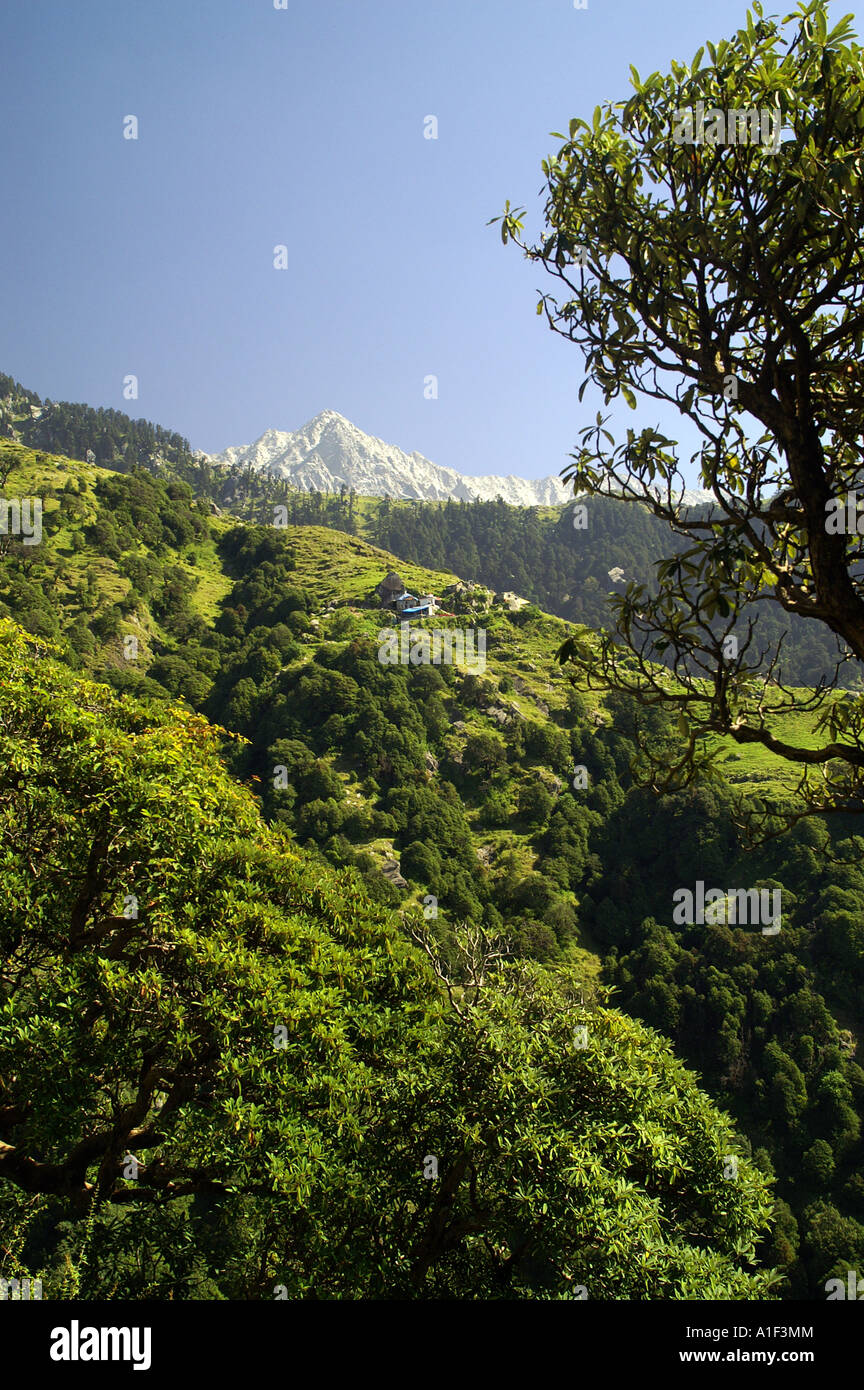 Dhauladhar range, Triund ridge and Half way cafe, Indian HImalaya Stock ...