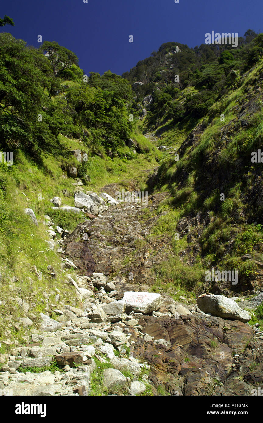Ravine in Dhauladhar range, Indian Himalaya Stock Photo - Alamy