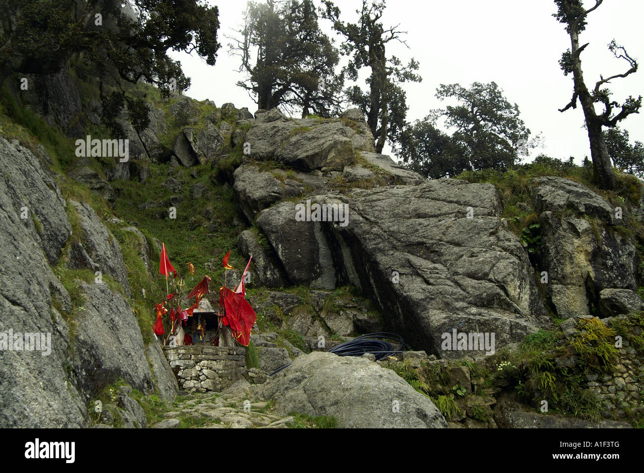 Hindu temple shrine lost in deep forest in Indian Himalaya Stock Photo ...