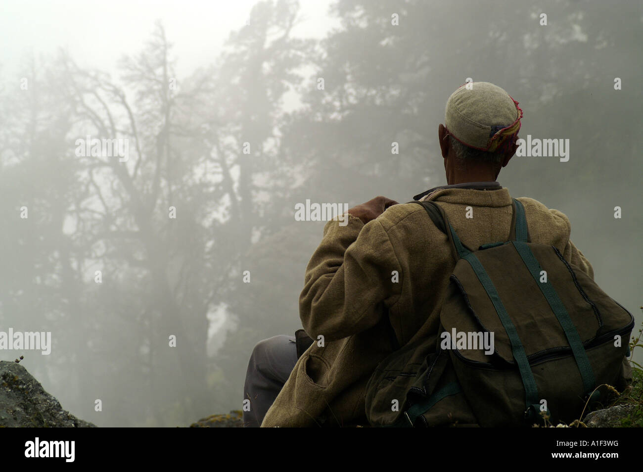 Gaddi tribe hi-res stock photography and images - Alamy