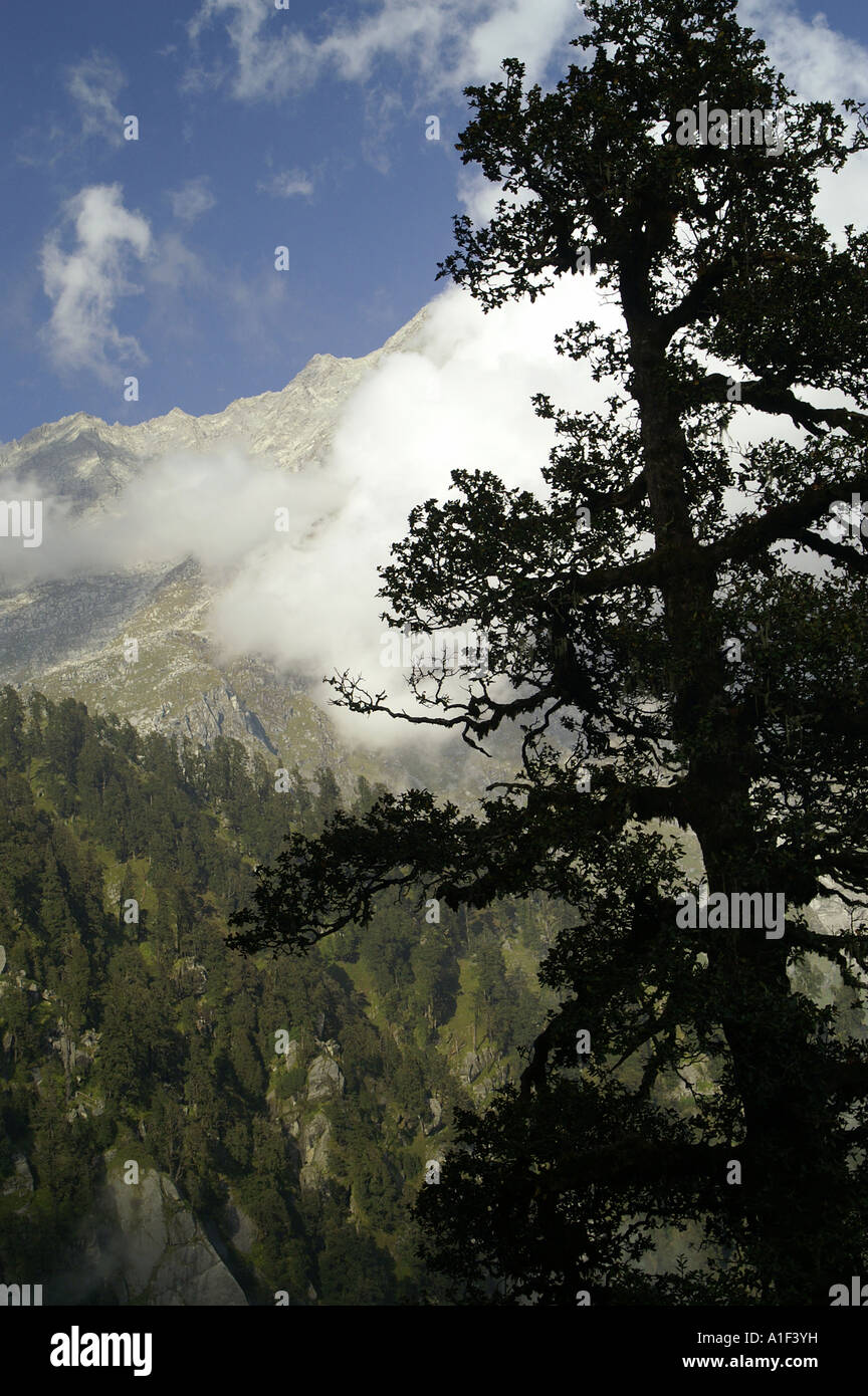 Southern slopes of Dhauladhar range, Indian Himalaya Stock Photo - Alamy