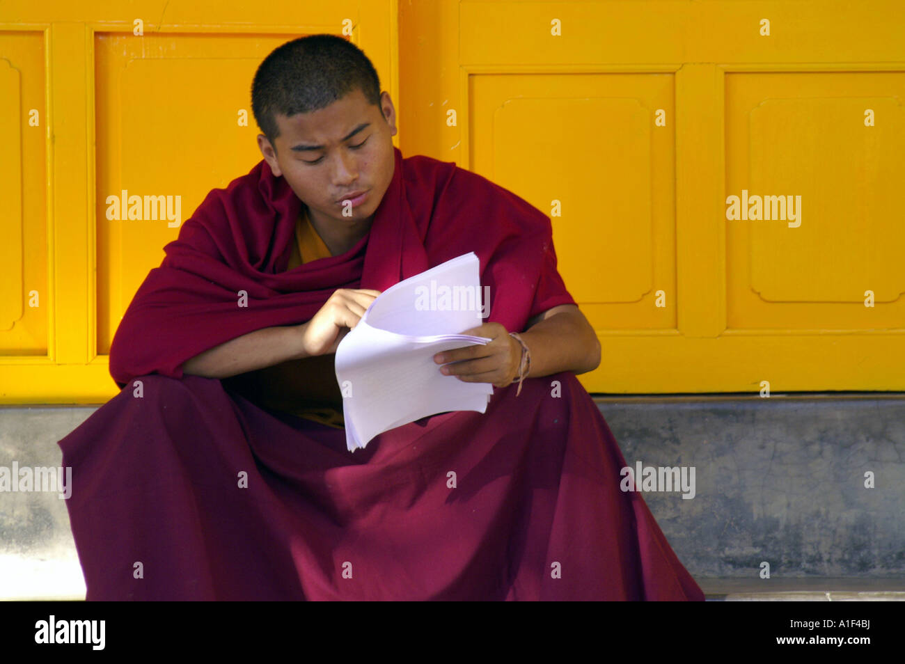 Tibetan buddhist monk reading holy book Stock Photo - Alamy