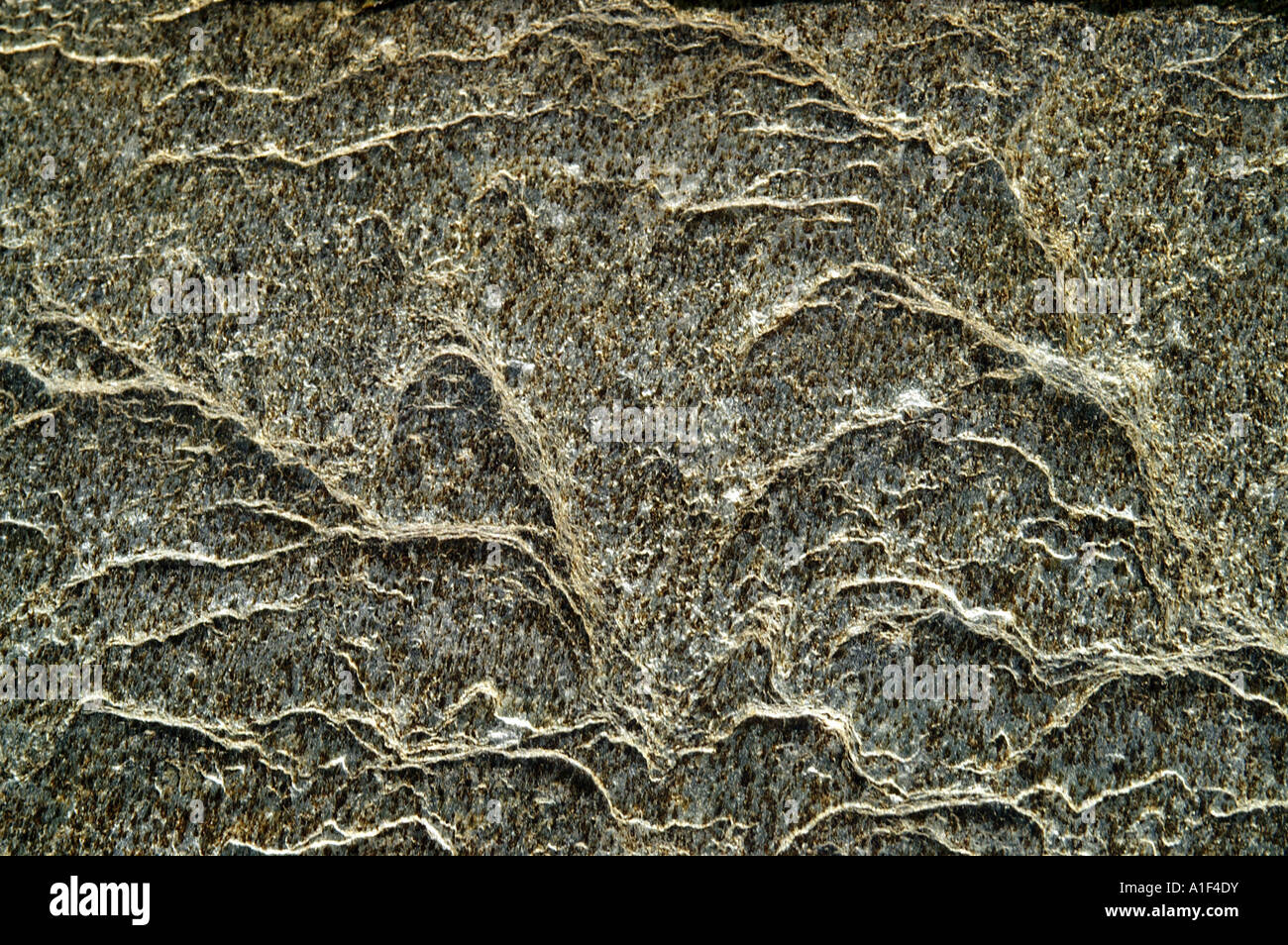 Wrinkles on stone surface, cracks and lines resembling a mountain map ...