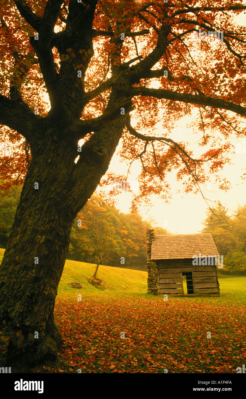 Fall log barn blue ridge parkway hi-res stock photography and images ...