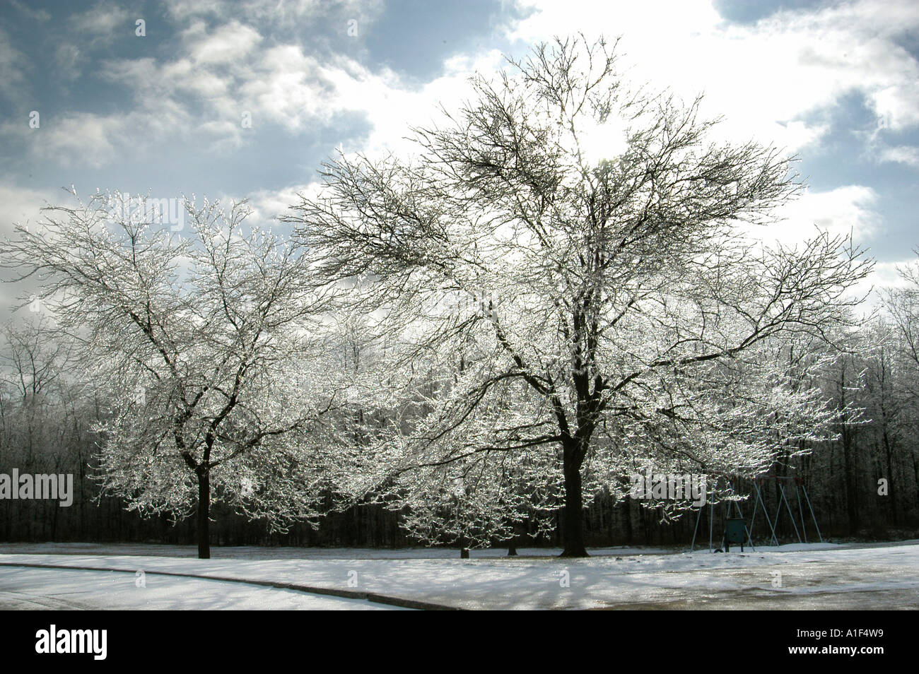 Flurry weather winter flakes hi-res stock photography and images - Alamy