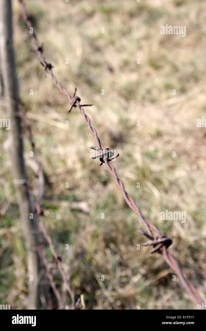 Barbed wire fence Stock Photo - Alamy