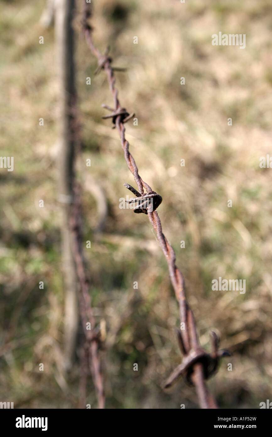 Barbed wire fence Stock Photo - Alamy