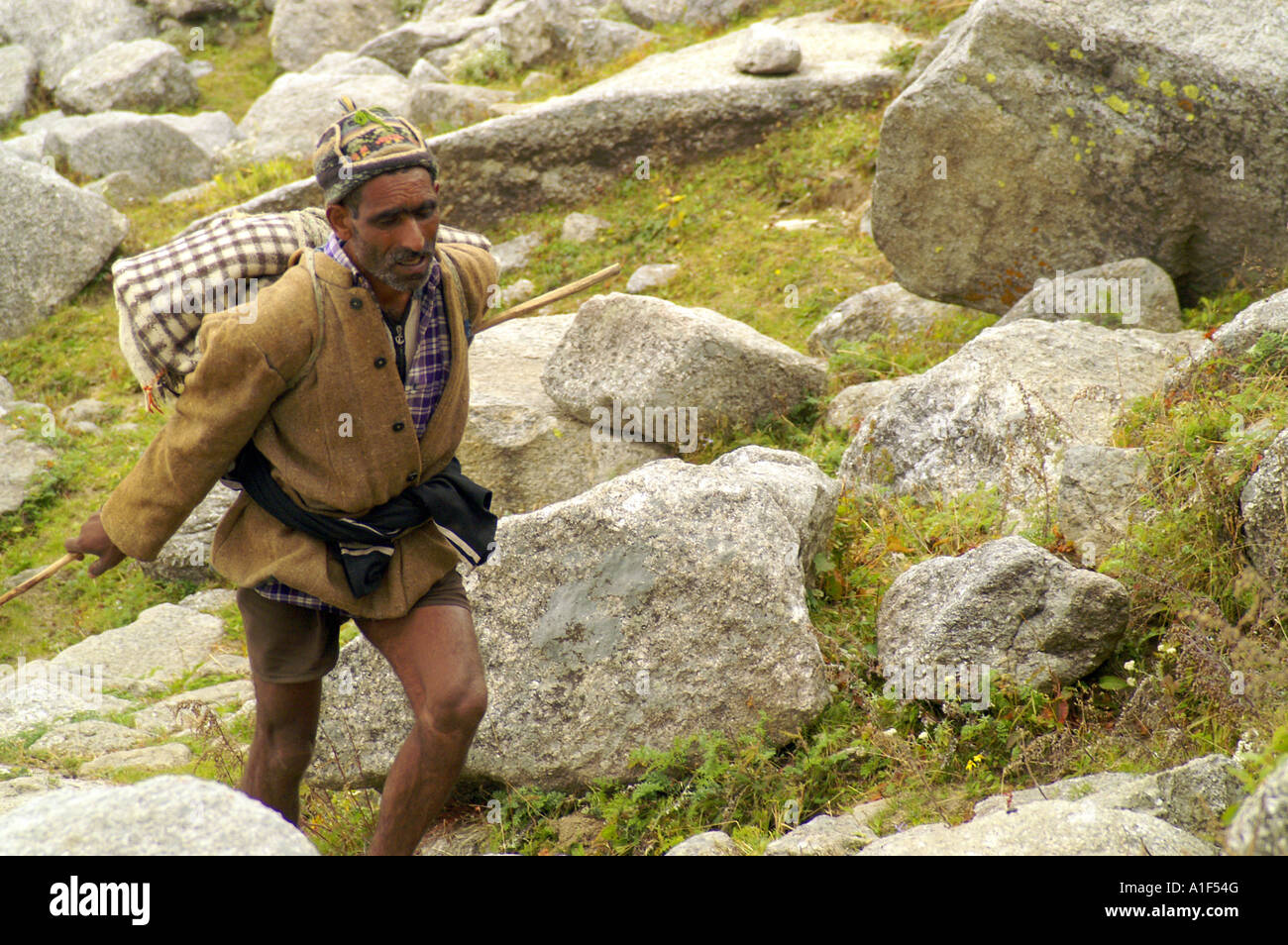 Gaddi tribe hi-res stock photography and images - Alamy