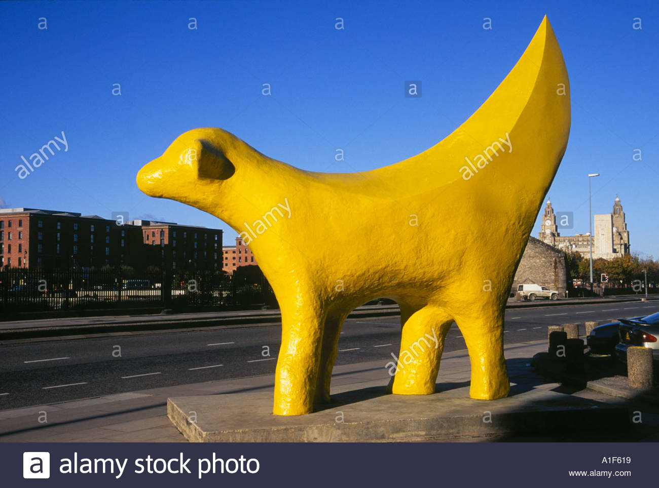 Super Lamb Banana Stock Photos & Super Lamb Banana Stock Images - Alamy