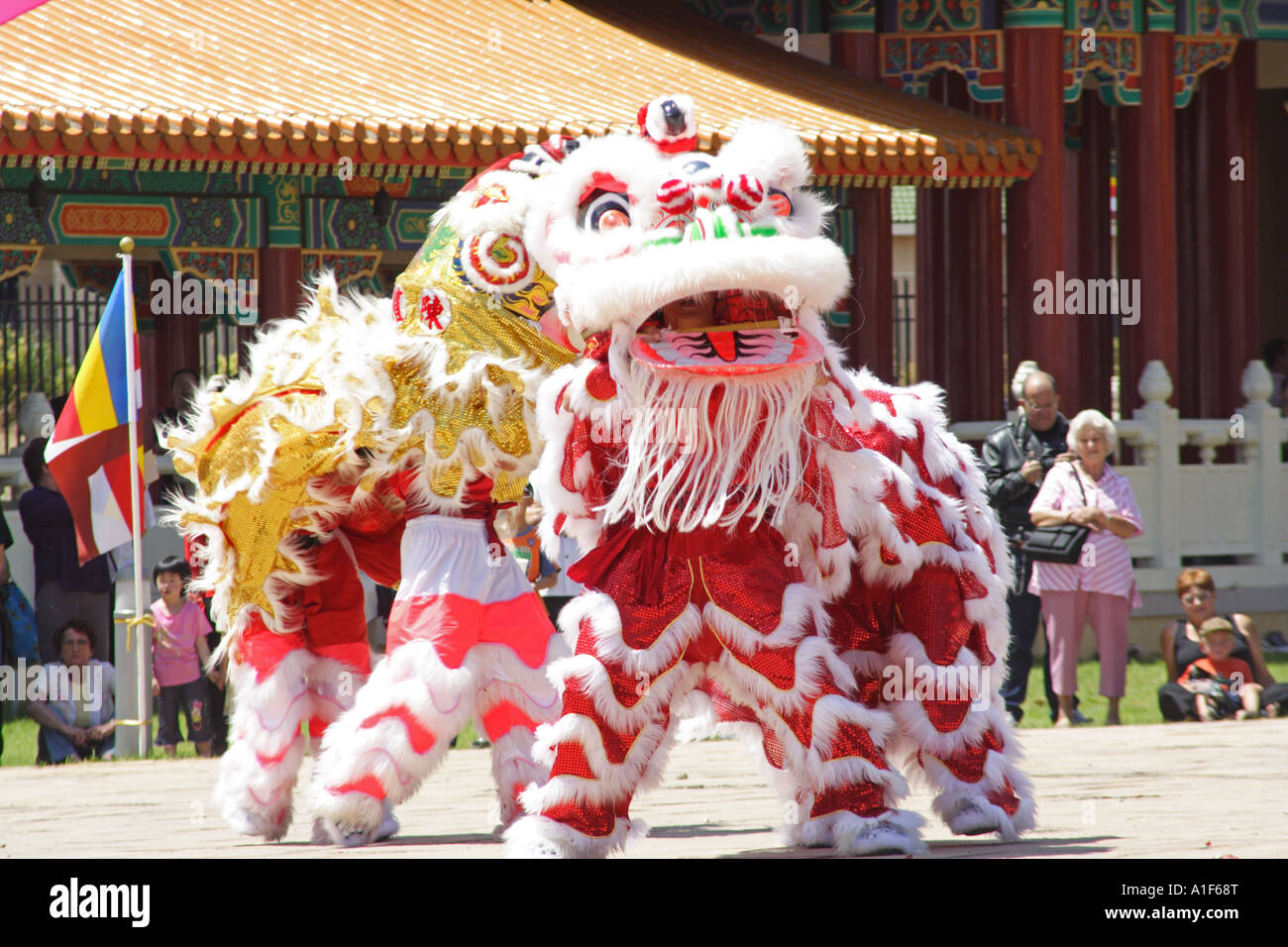 Lion and Dragon Dance, Chinese New Year Celebration Stock Photo - Alamy