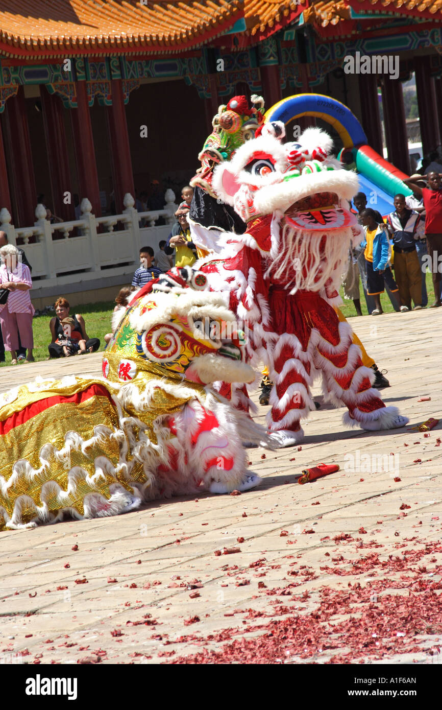 Lion and Dragon Dance, Chinese New Year Celebration Stock Photo - Alamy